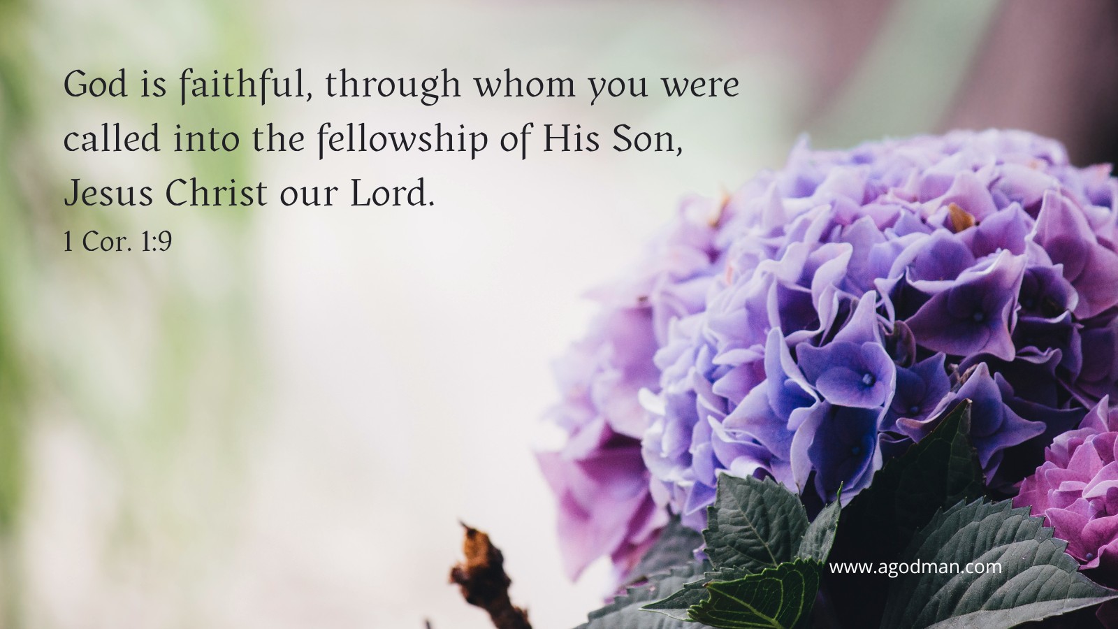 Resurrected Christ as the Life-giving Spirit is the Grace of God for ...