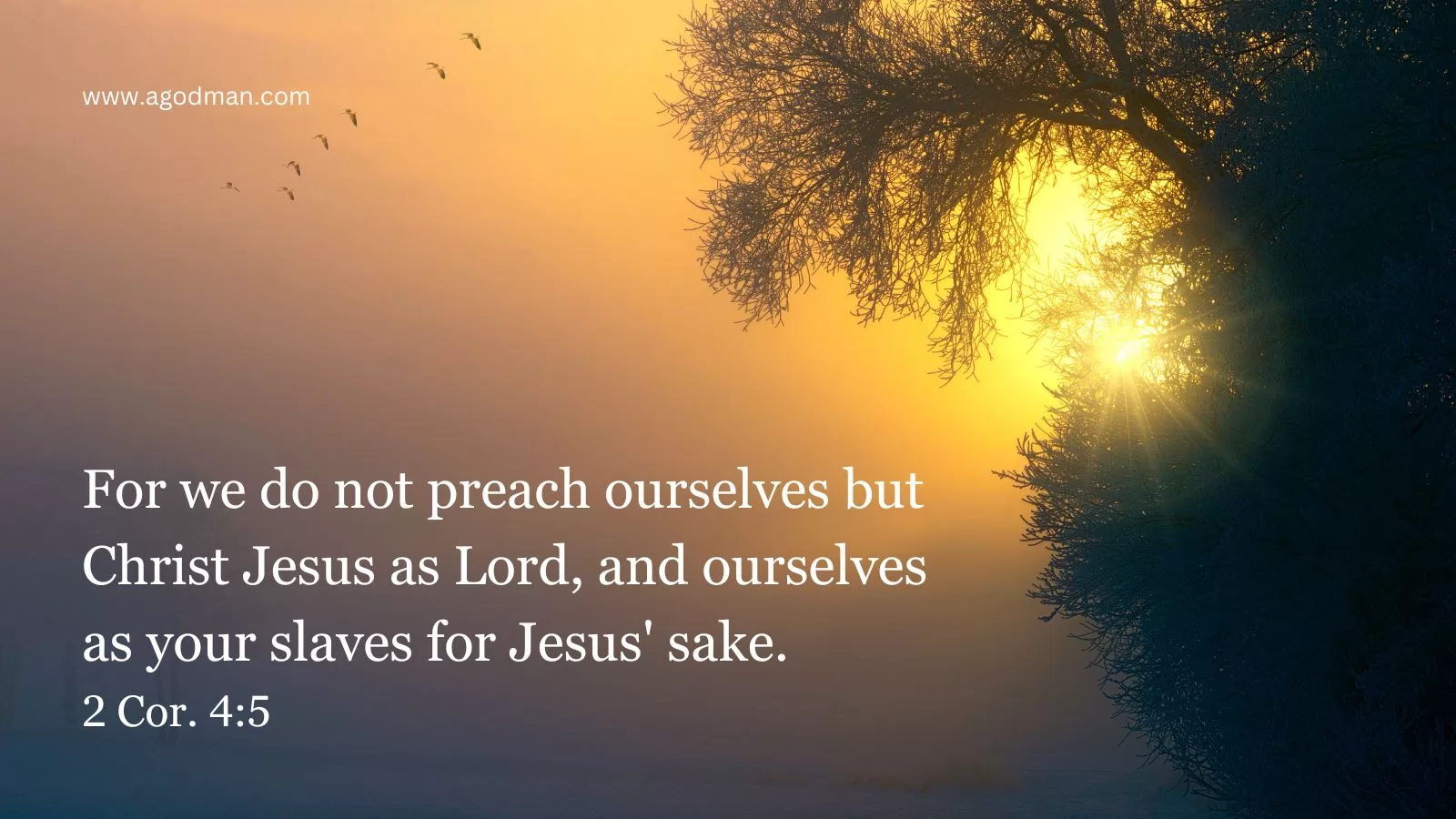 Do not Seek Glory from Men when Serving but Cherish the Saints