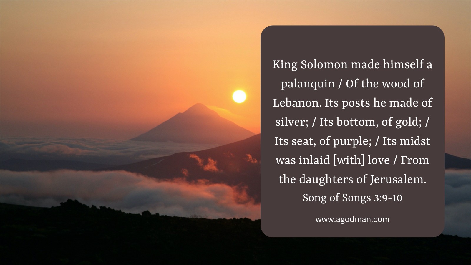 Live in Ascension by Living in our Spirit & be a Palanquin for Christ