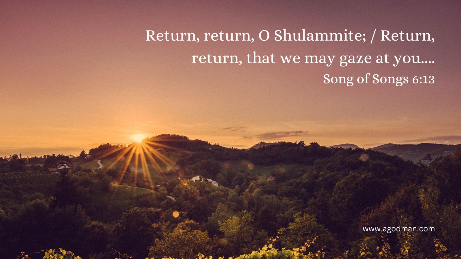Called to Live within the Veil and Share in the Work of the Lord
