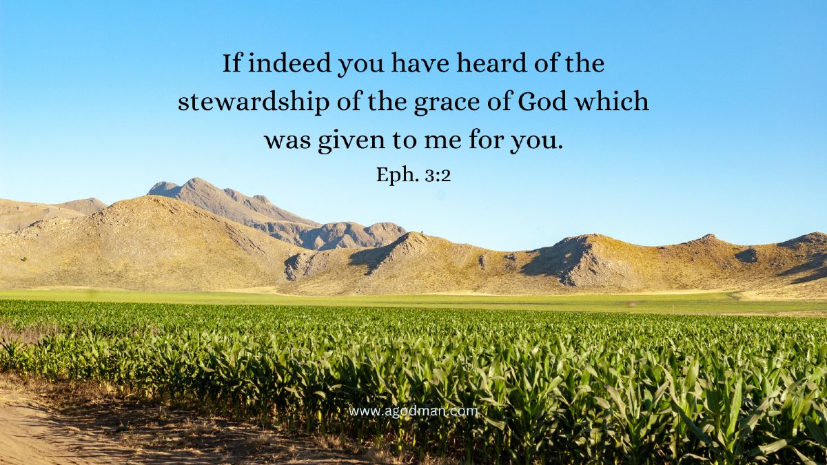 Carry out Stewardship of the Grace of God in Singleness of God