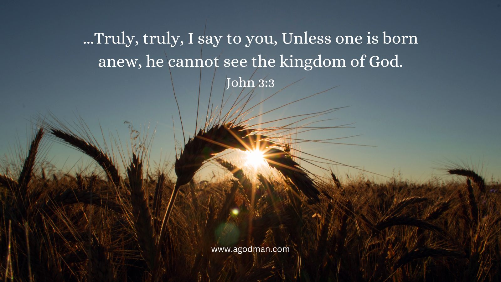 Kingdom of God is the Totality of Christ as Life with All His Activities